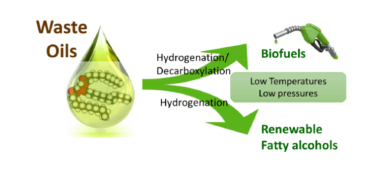 Fatty Acids Catalysis: Turning Waste Oils into Valuable Biofuels and ...